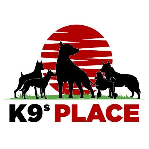 Blog | K9s Place